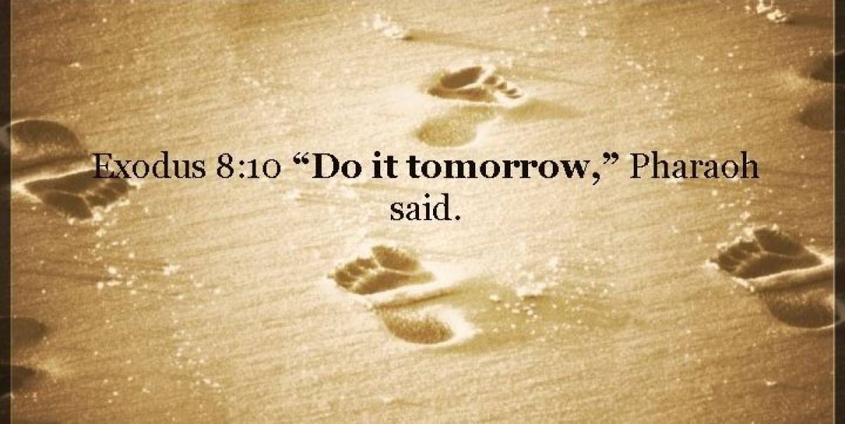 Daily Devotional (January-31-2022) Tomorrow