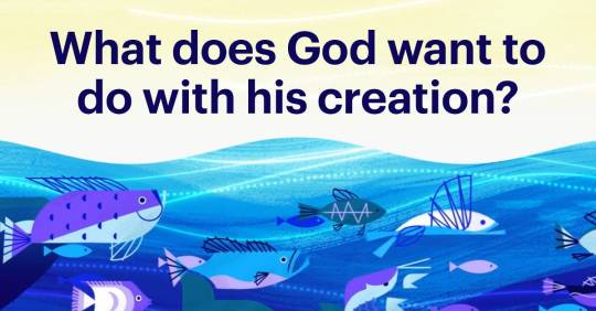 The Bible Project 2025 - Professional animated video about the Bible ...