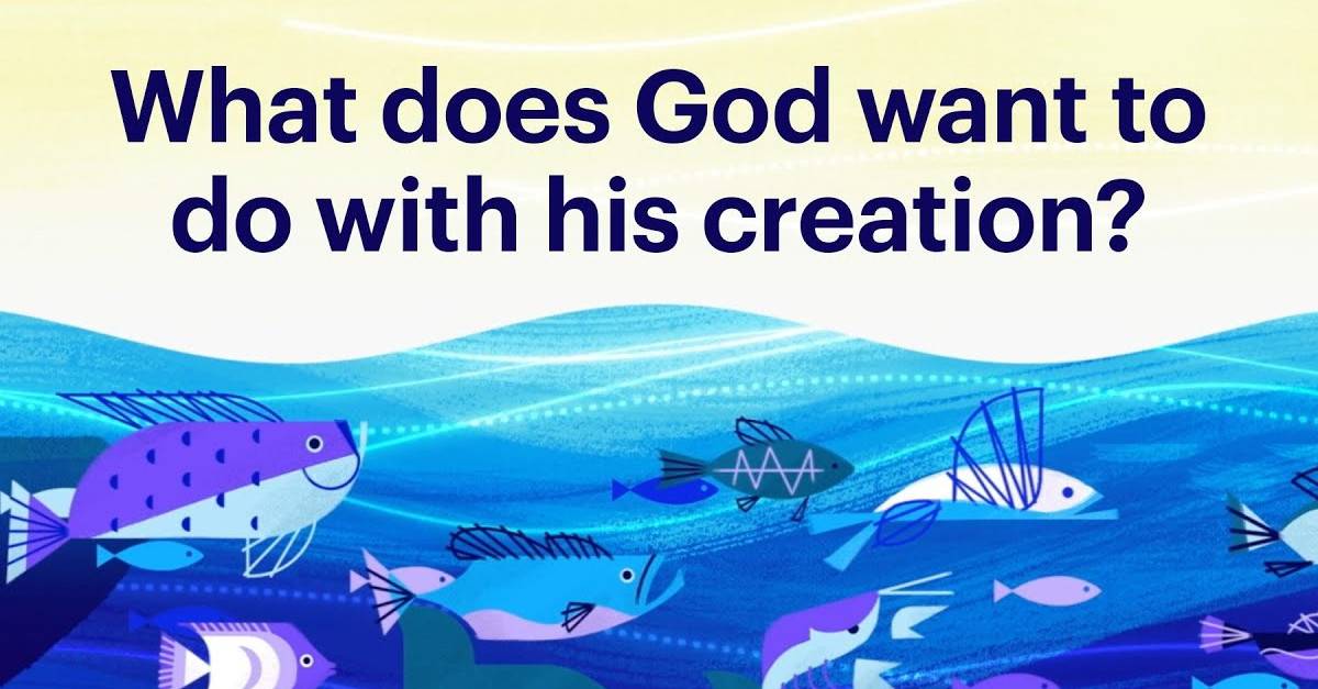 Watch The Bible Project - Genesis 1