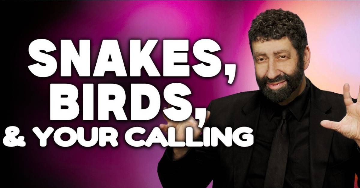 Watch Jonathan Cahn Sermon: The Snake, the Bird, and Your Calling