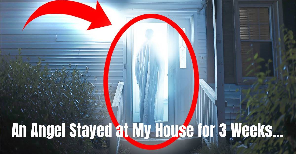 Sid Roth's It's Supernatural! - An Angel Stayed at My House for 3 Weeks…